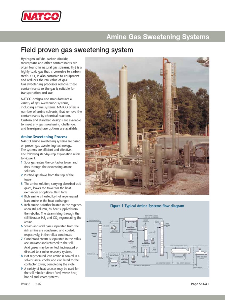 Amine Gas Sweetening Systems Overview | PDF | Natural Gas | Chemical ...