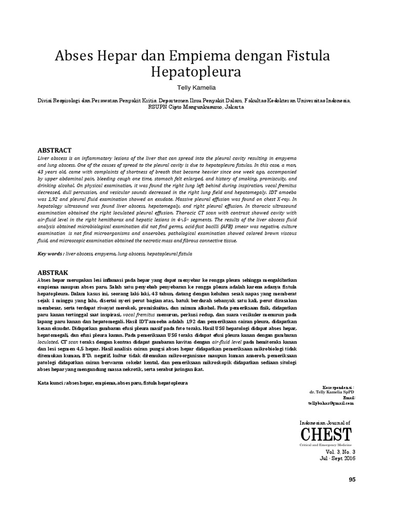 Abses Hepar Dan Empiema Dengan Fistula Hepatopleura | PDF | Clinical Medicine | Medicine