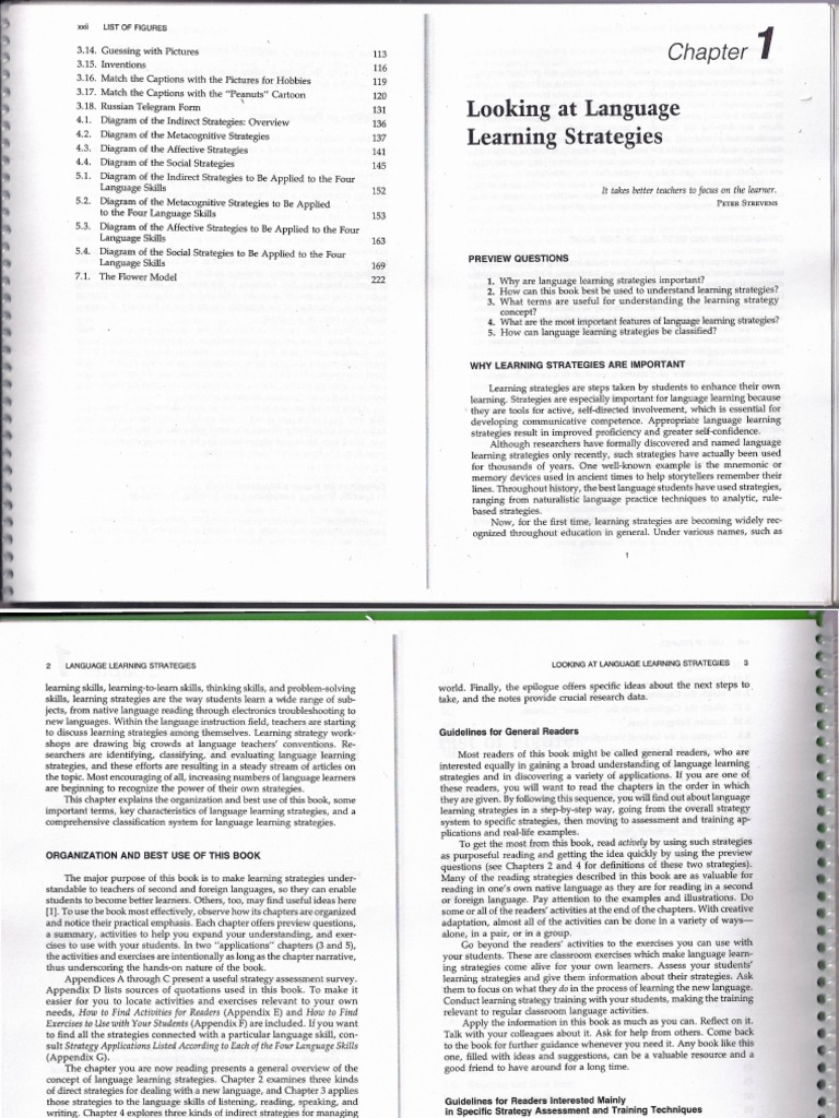 Understanding Language Learning Strategies | PDF | Language Acquisition ...
