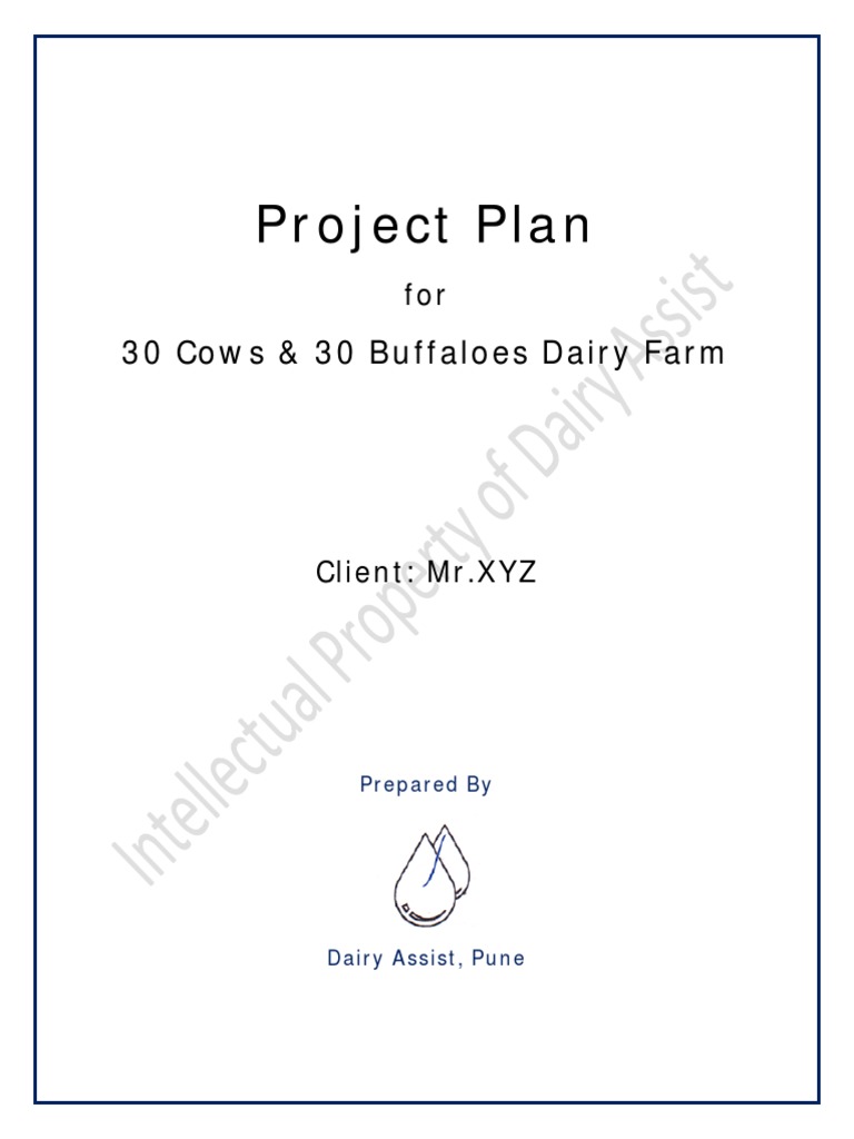 Sample Project Plan - Cattle Feed | PDF | Dairy Cattle | Calf