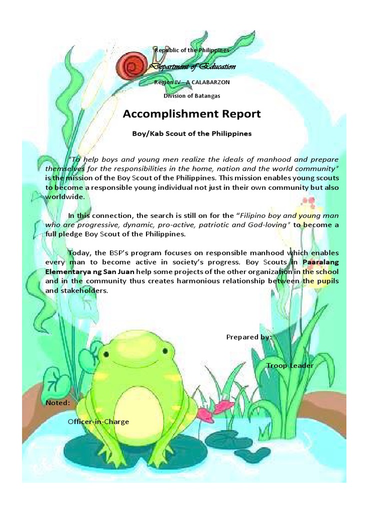 BSP Narrative Report | PDF