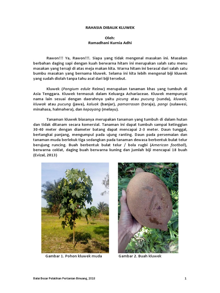 MULTI-PURPOSE PLANT: THE MANY USES OF KLUWEK (Pangium edule) | PDF