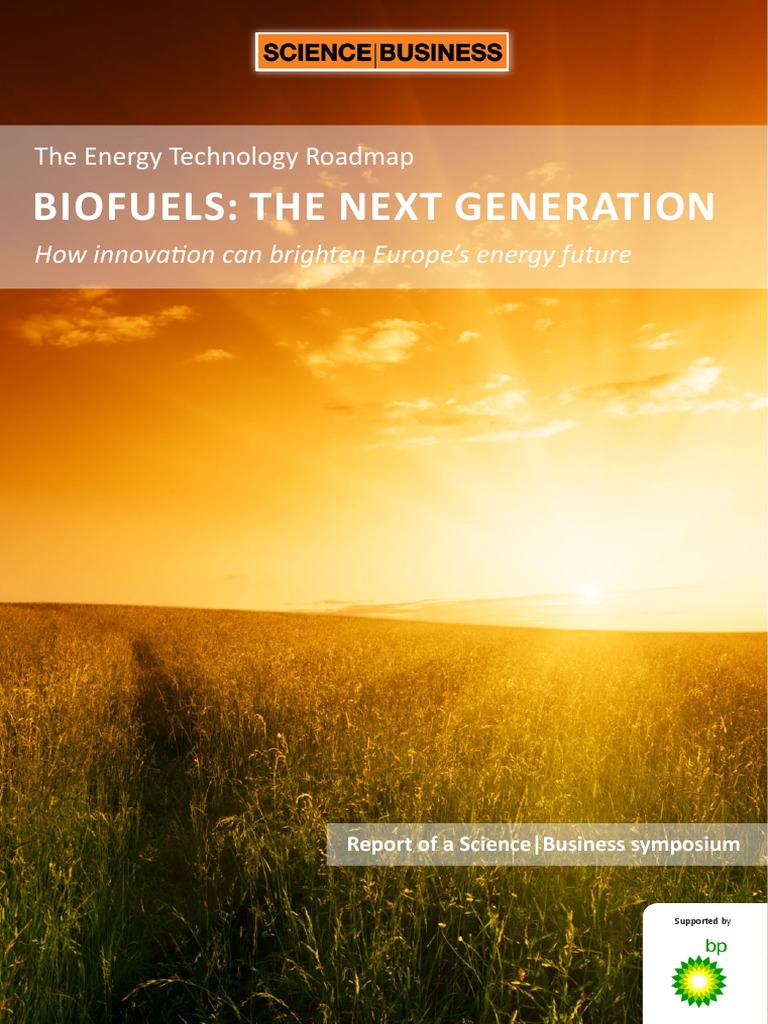 Biofuels: The Next Generation: The Energy Technology Roadmap | PDF ...