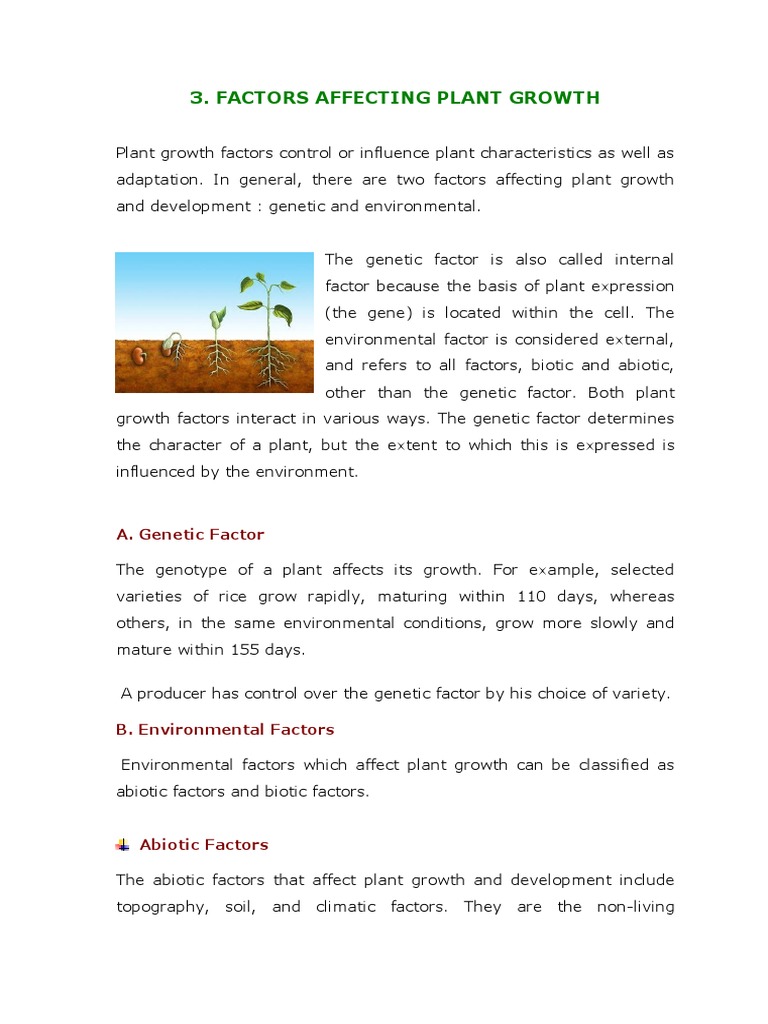 3.factors Affecting Plant Growth | PDF | Soil | Herbivore