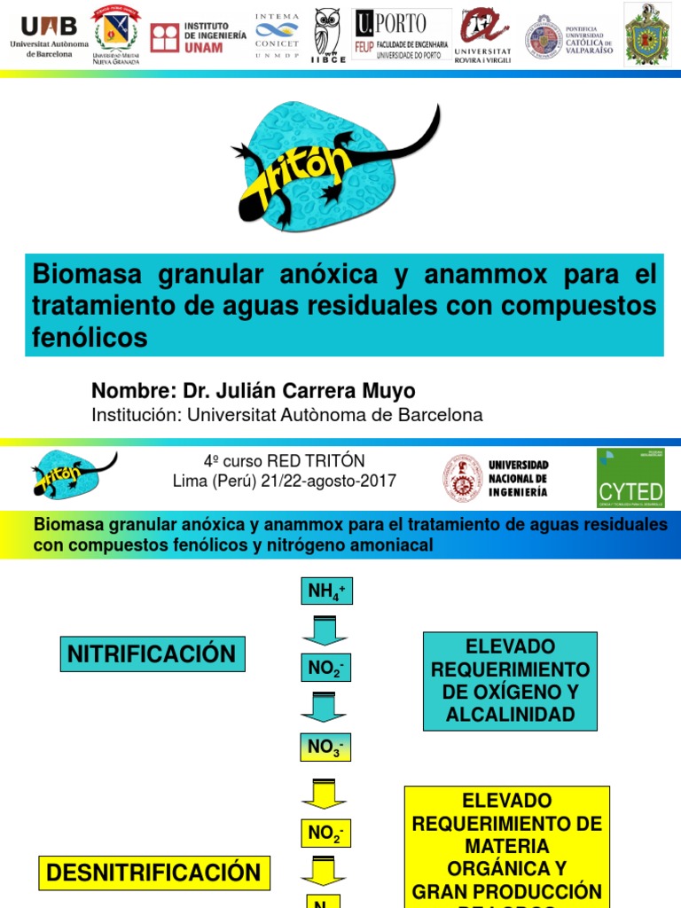 Anammox | PDF | Aguas residuales | Ciencia medioambiental