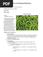 01 RRL Rice Production Practices PDF | PDF | Rice | Sowing