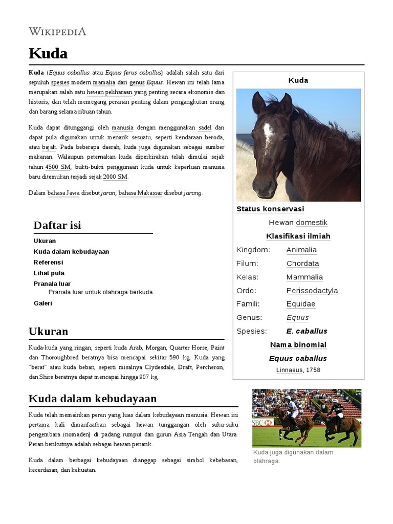 Kuda | PDF