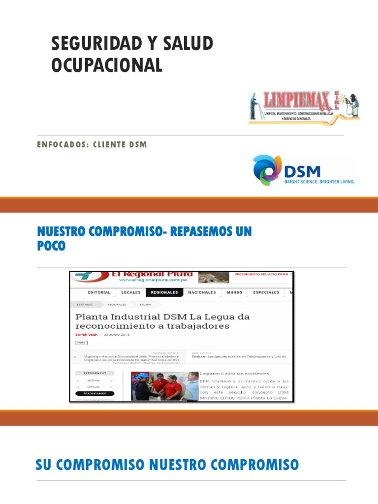 DSM | PDF