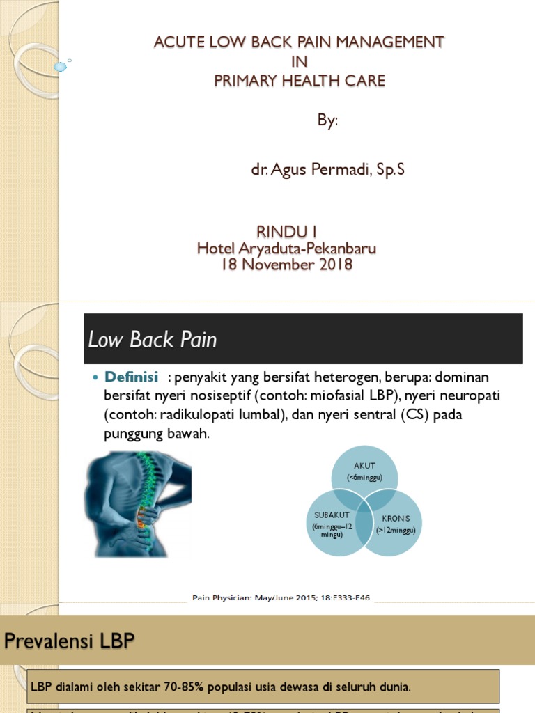 Dr. Agus Permadi, SPS - Acute LBP Management in Primary Health Care | PDF