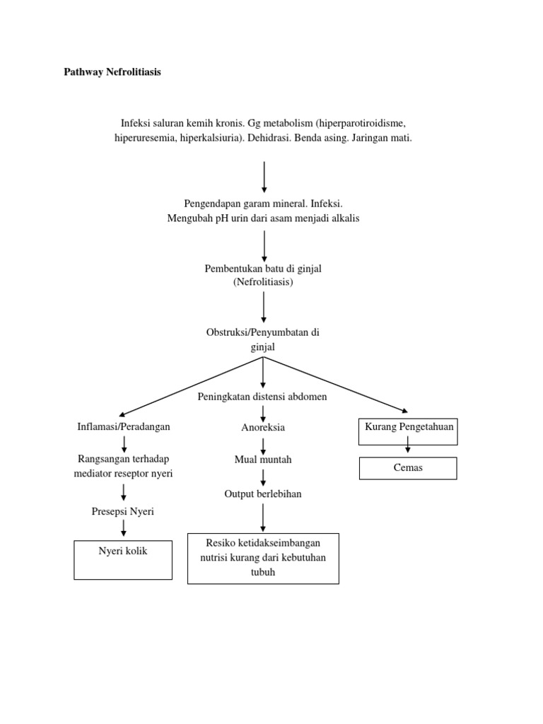 Pathway Nefrolitiasis | PDF