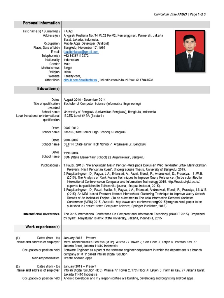 CV Fauzi 2019 | PDF | Computer Science | Computer Programming