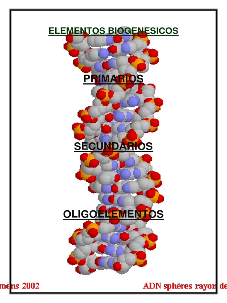 Elementos Biogenesicos | PDF