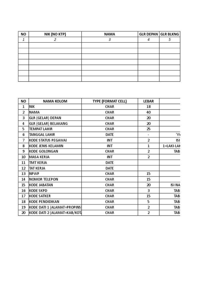 Format Penyajian Data Honorer Pemda | PDF
