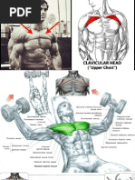 CATIA - Ship Structure Detail Design | PDF | Ships | Technical Drawing
