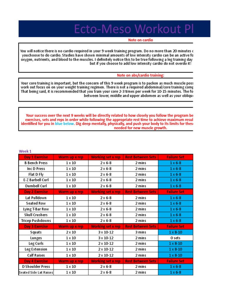 Ecto-Meso Workout Plan: Blue Below | PDF | Aerobic Exercise | Weight ...