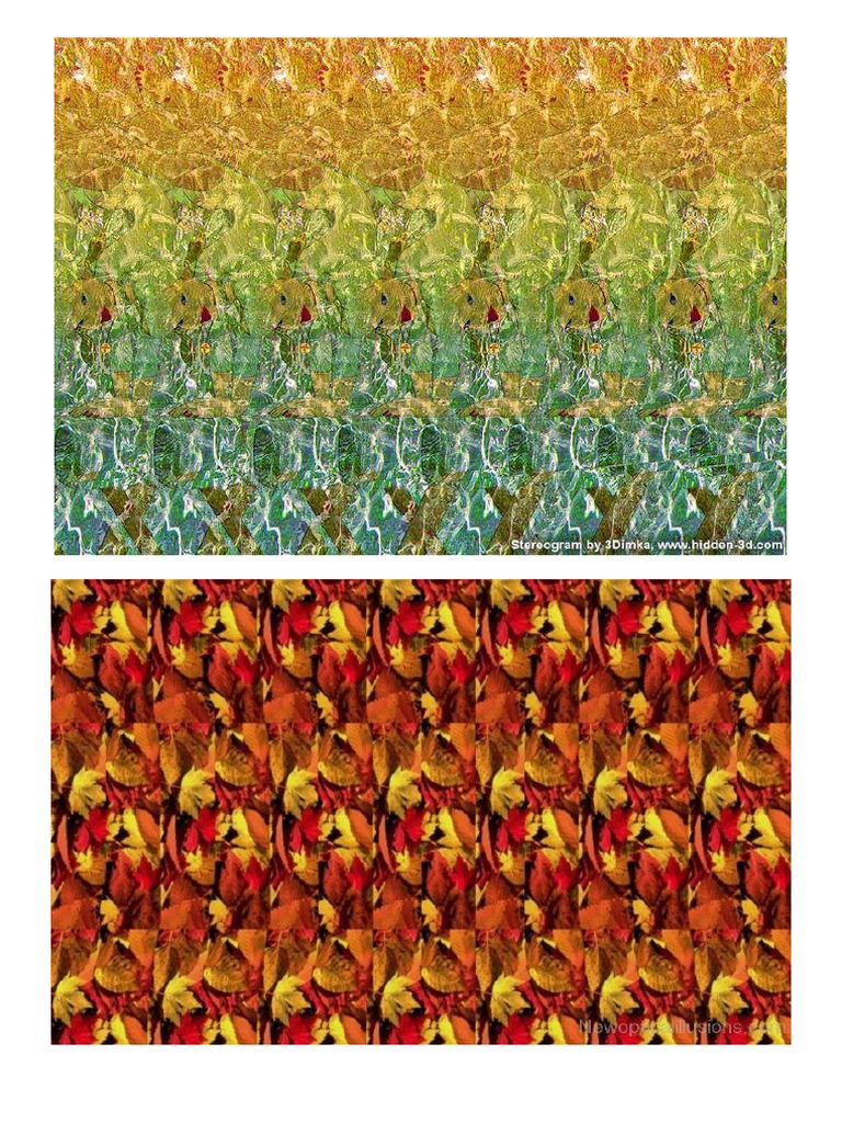 Magic Eye | PDF