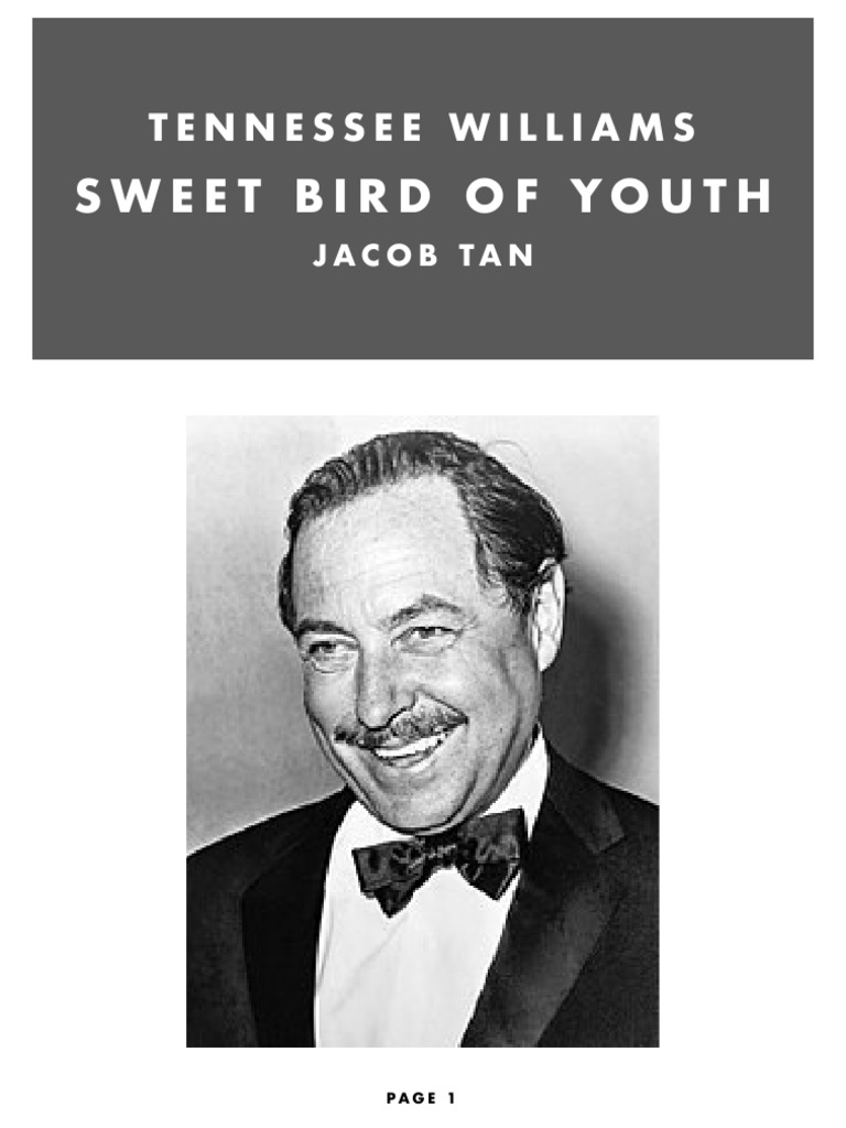 Themes of Youth in Sweet Bird of Youth | PDF