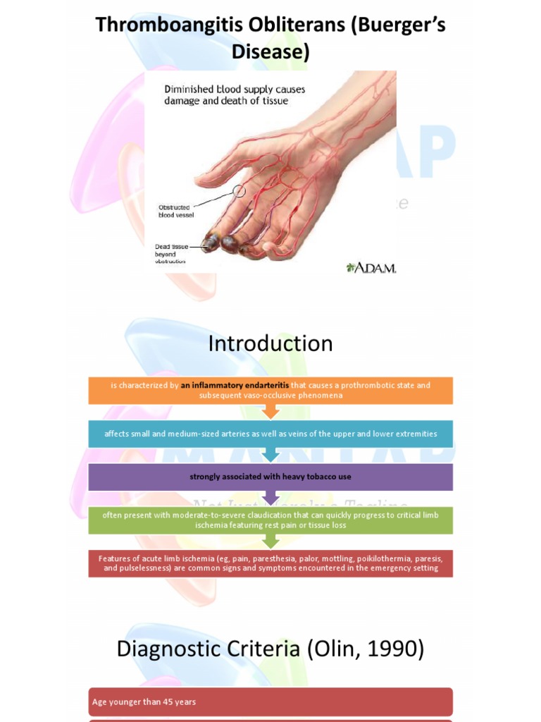 Thromboangitis Obliterans (Buerger's Disease) | PDF | Ischemia ...