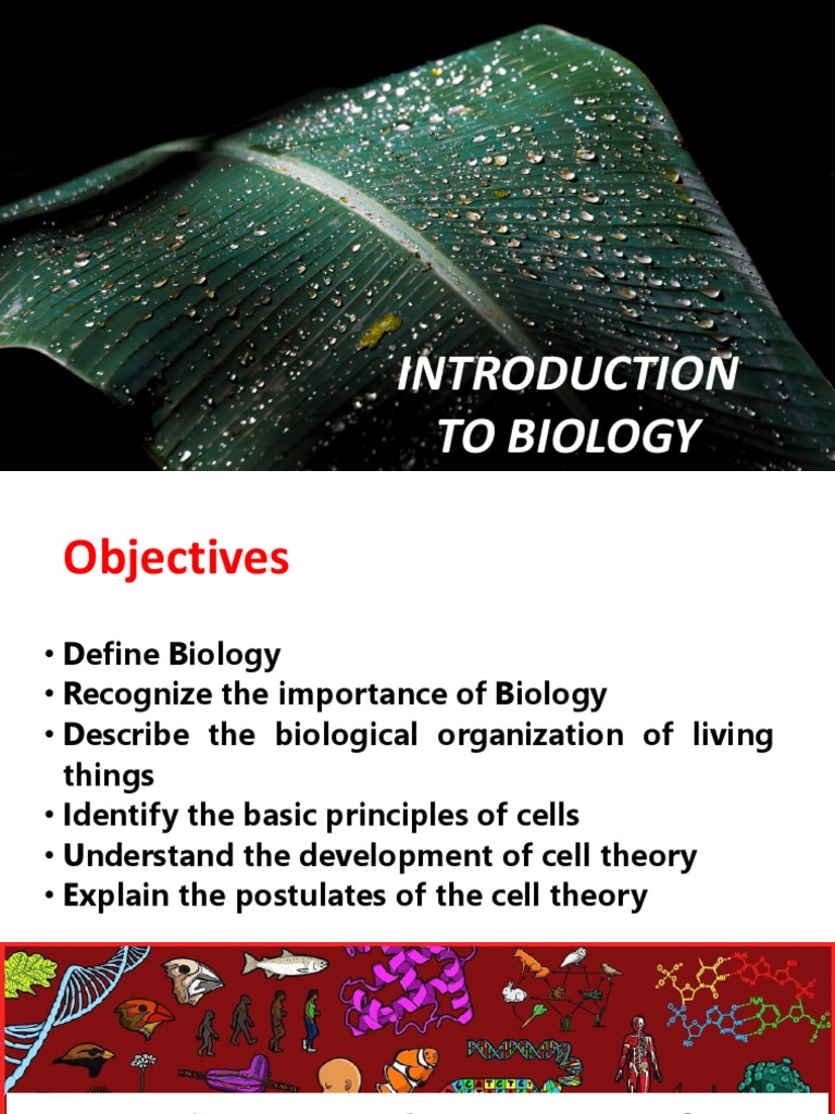 Lesson 1 - Introduction To Biology | PDF | Cell (Biology) | Reproduction