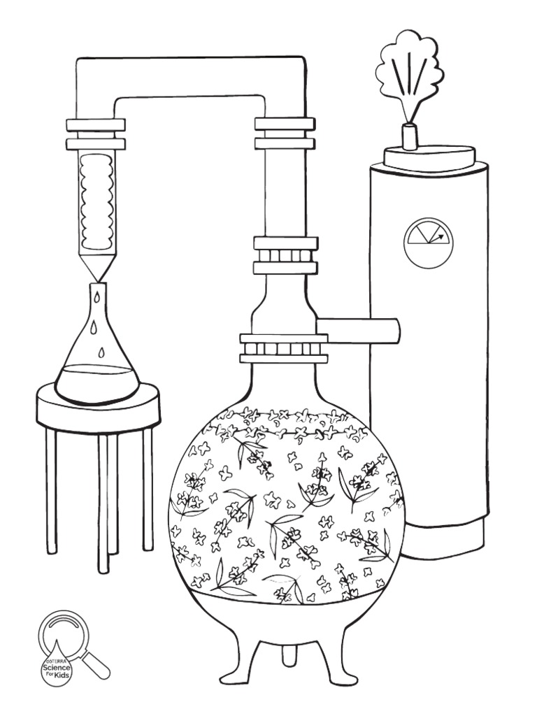 Science For Kids Distillation Coloring Page PDF | PDF