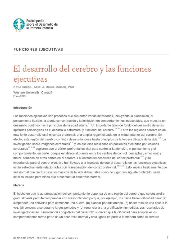 El Desarrollo Del Cerebro y Las Funciones Ejecutivas | PDF | Funciones ...
