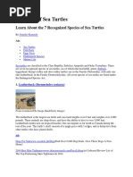 Program of Works Template for Schools | PDF | Business | Government