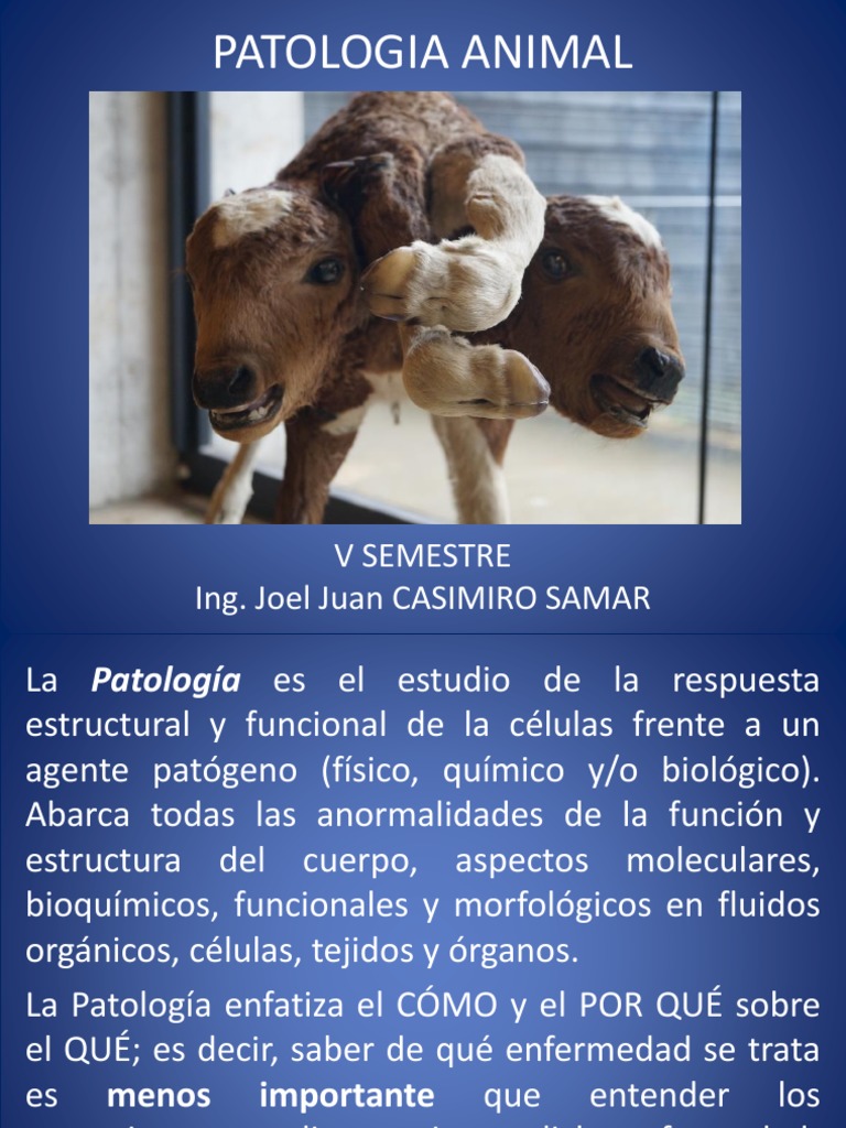 Introduccion a la patologia veterinaria | Lesión | Patología