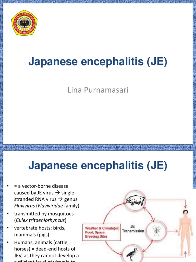 Japanese Encephalitis (JE) : Lina Purnamasari | PDF | Microbiology ...