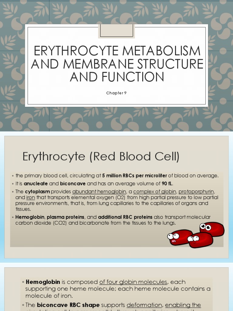 Erythrocyte Metabolism and Membrane Structure and Function | PDF ...