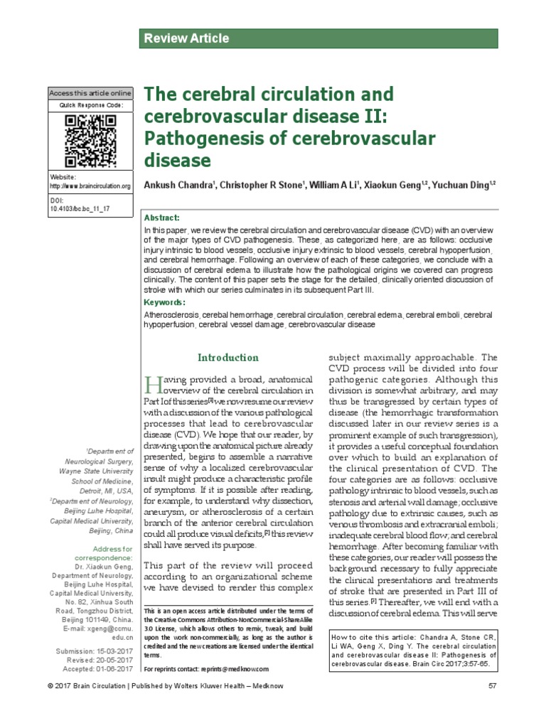 The Cerebral Circulation And Cerebrovascular Disease Ii Pathogenesis Of
