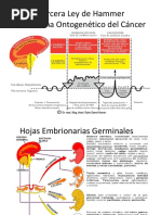 La Nueva Medicina Germánica Del Doctor Hamer | PDF | Cáncer | Science