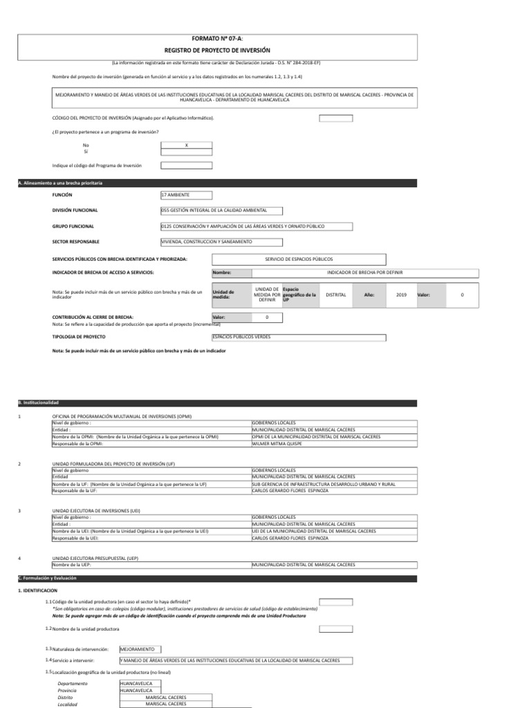 Formato 07a-Areas Verdes | PDF | Valor presente neto | Asociación público-privada
