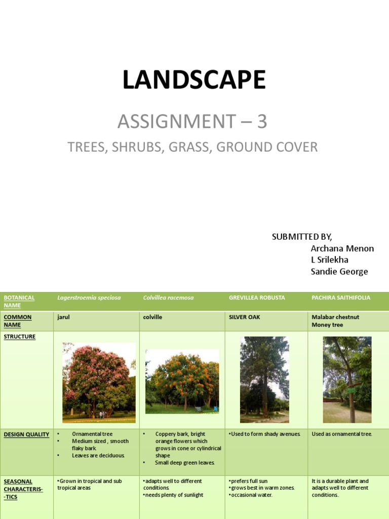 Landscape: Assignment - 3 | PDF | Lawn | Trees