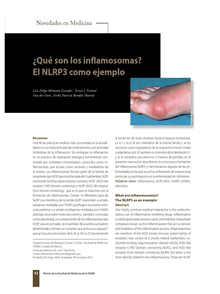 03 Que Son Los Inflamasomas | PDF | Receptor (Bioquímica) | Biotecnología