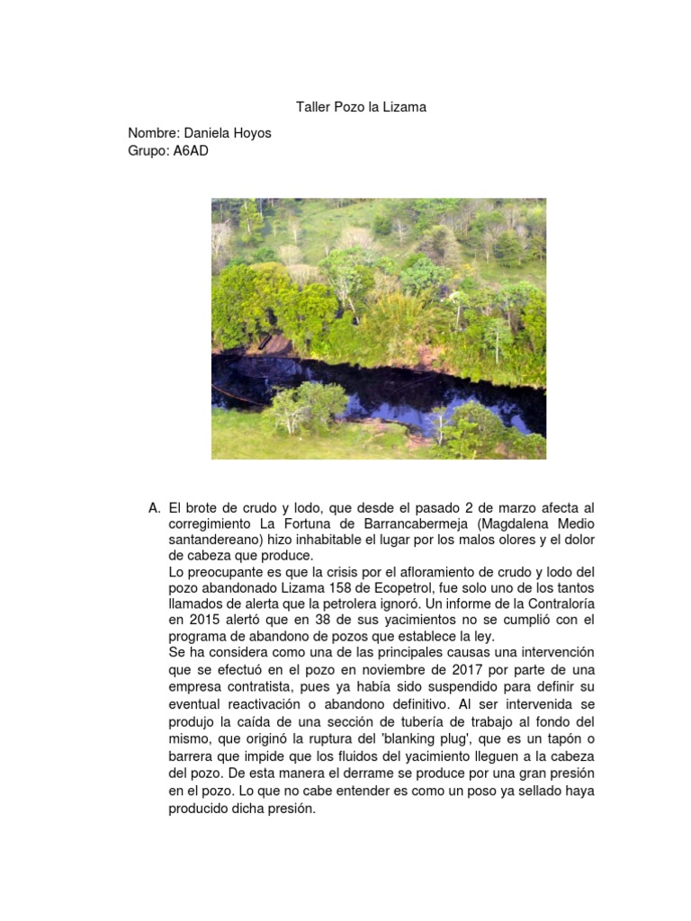 Daniela Hoyos | PDF | Petróleo | Naturaleza