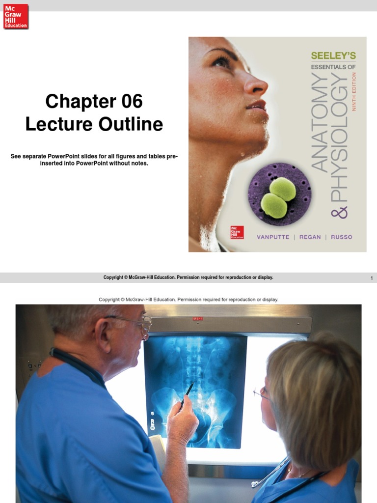 Chapt06 Skeletal SX | PDF | Bone | Anatomical Terms Of Motion