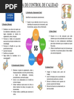 Mapa Conceptual 5s | PDF