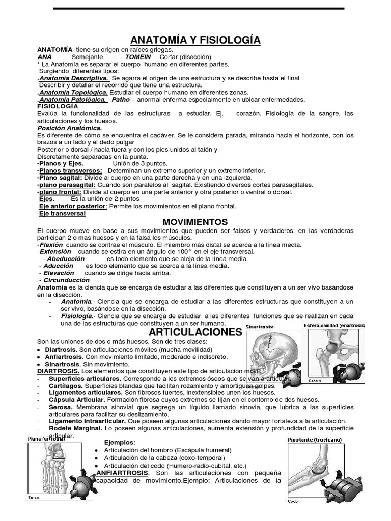 Anatomia Pdf Articulación Mano