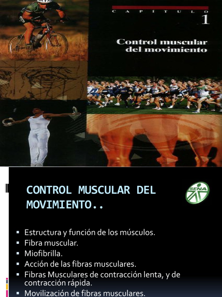 Control Muscular Del Movimiento2 | PDF | Músculo | Contracción muscular