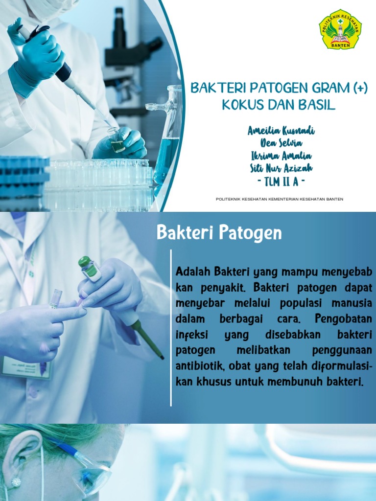 Bakteri Gram Positif Kokus Dan Basil | PDF