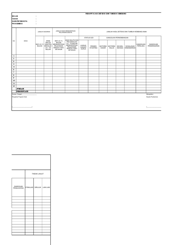 Format Laporan DDTK | PDF