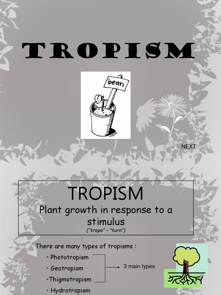 Tropism | PDF | Physiology | Landscape Architecture