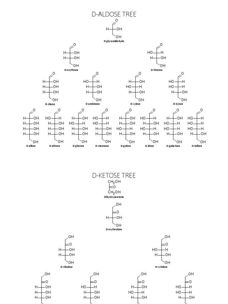 The Aldose and Ketose Sugar Trees: A Visual Representation of the ...