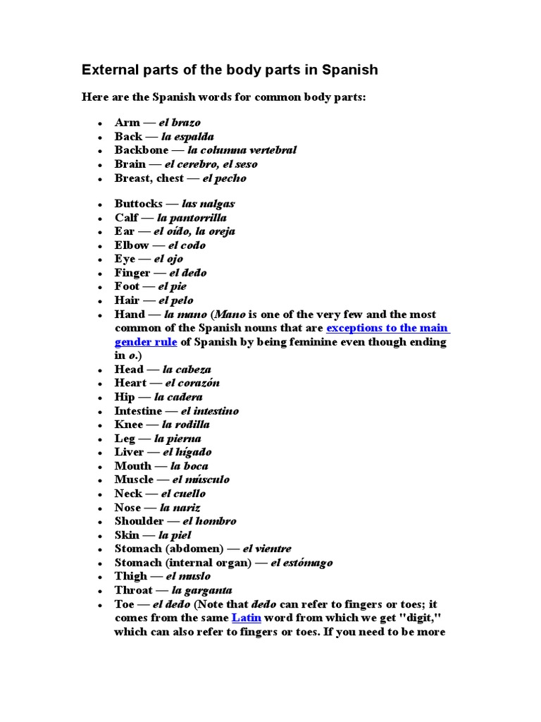 Spanish Body Parts Vocabulary Guide | PDF