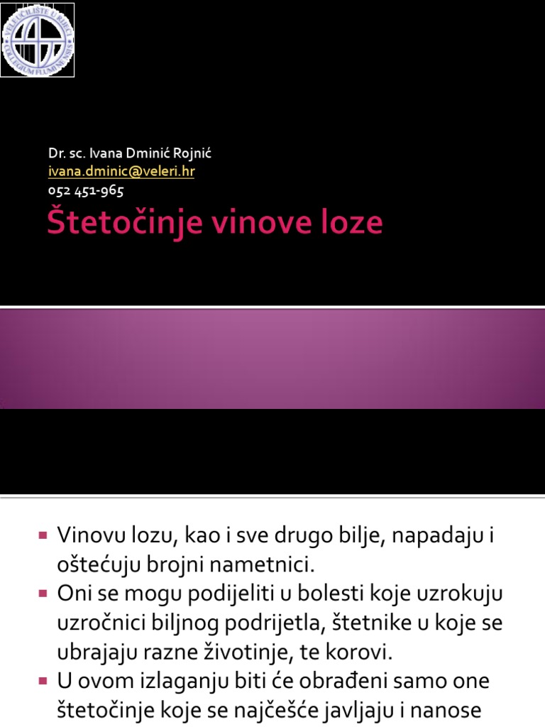 Primjer | PDF