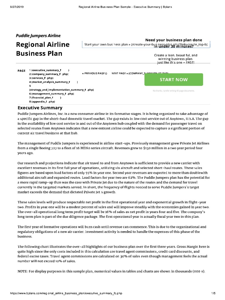 Regional Airline Business Plan Sample - Executive Summary - Bplans | PDF