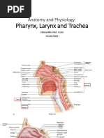 Tracheal Deviation - Causes and Treatment | PDF | Lung | Respiratory System