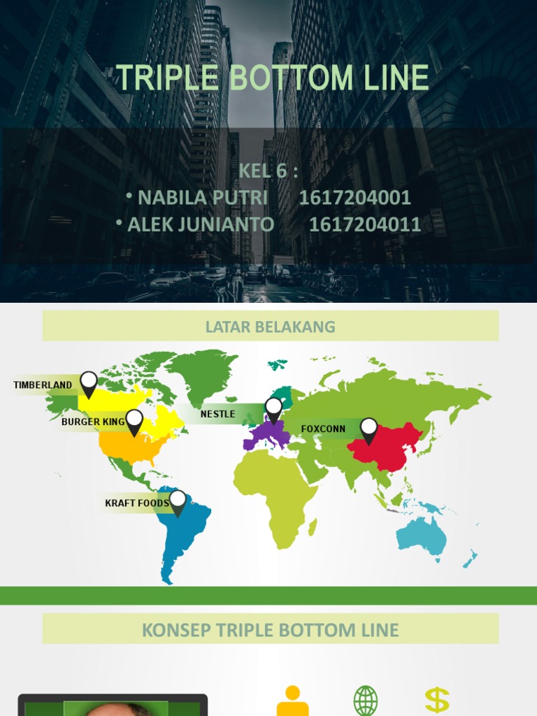 Triple Bottom Line | PDF