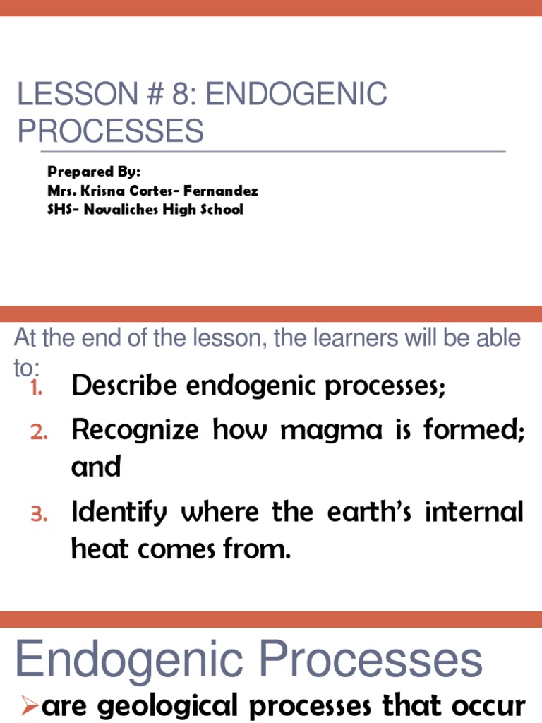 Understanding Endogenic Processes | PDF | Science & Mathematics