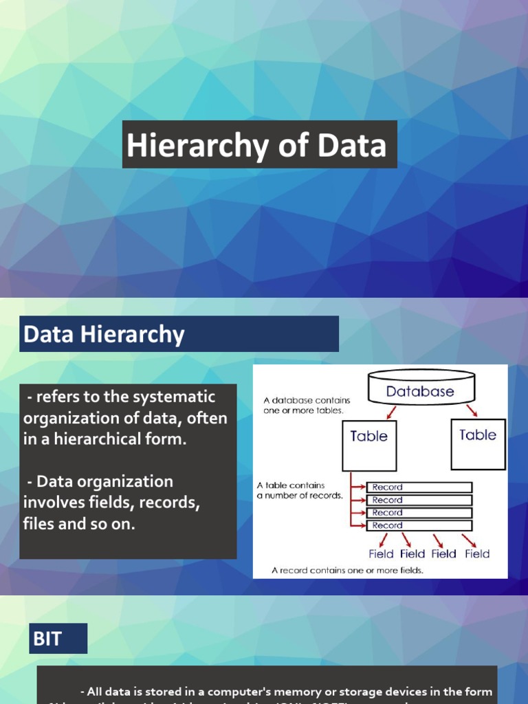 Access Week 1 | Download Free PDF | Bit | Database Transaction
